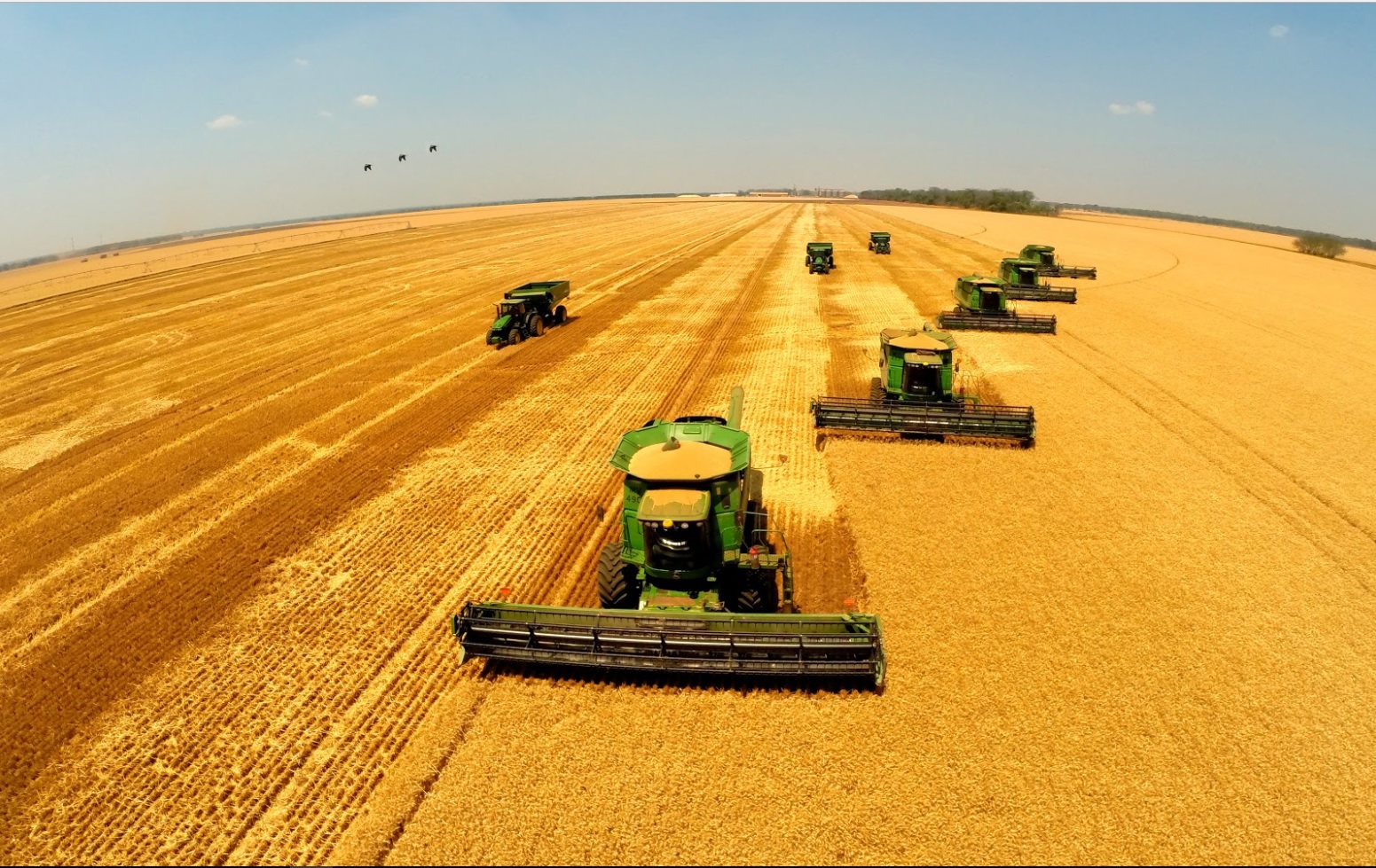 What we've learnt about the affordability of food: evidence from Zambia ...