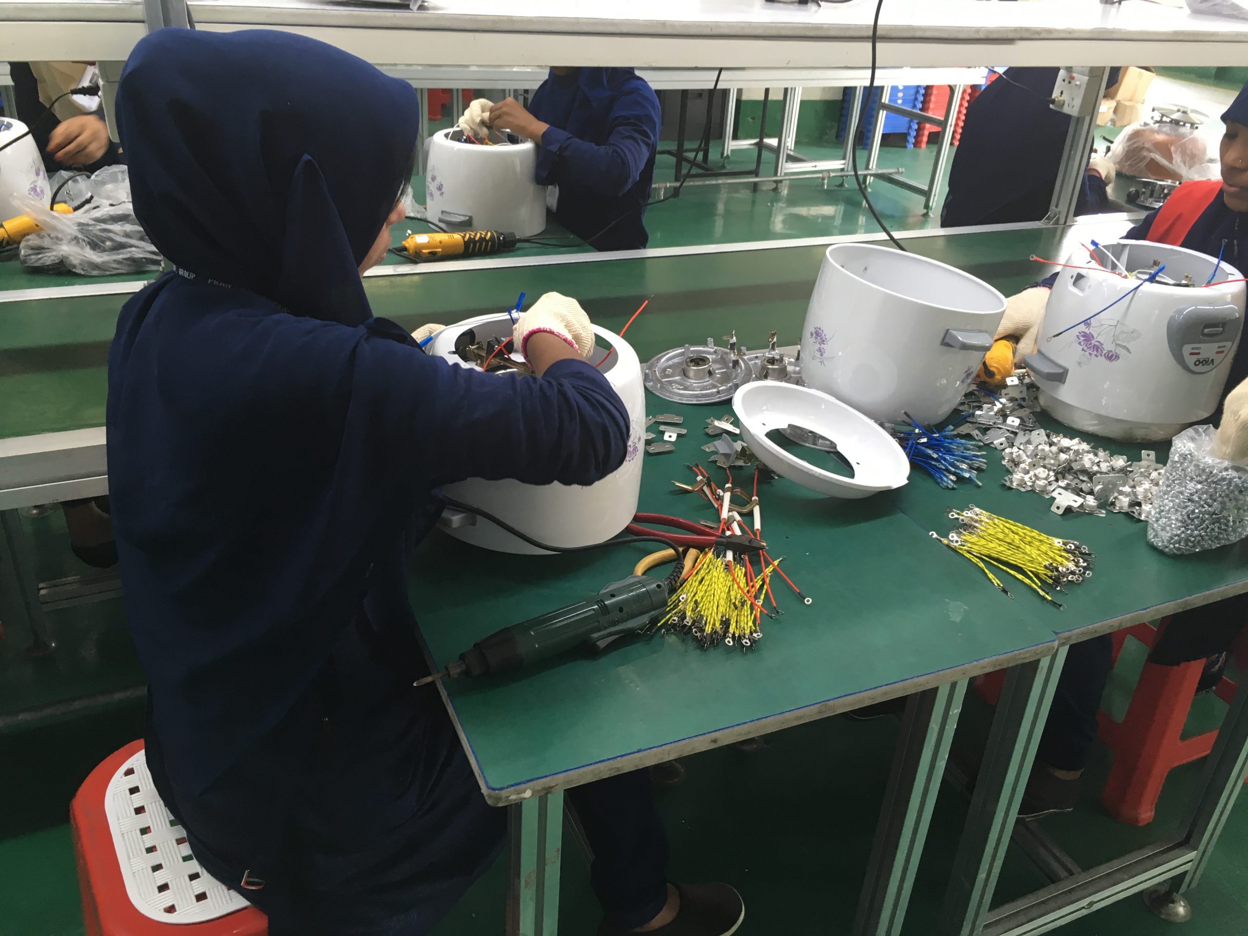 RFL Electronics - British International Investment